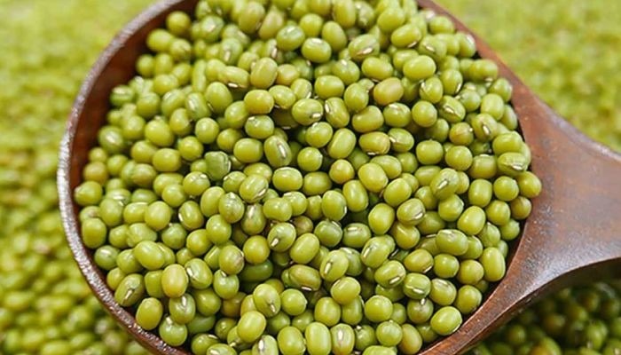 Factores climáticos impactan la producción de frijol chino en Venezuela